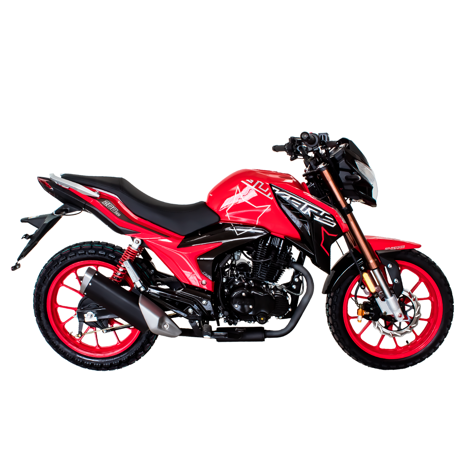 MODELOS INTERNO6 | Dukare